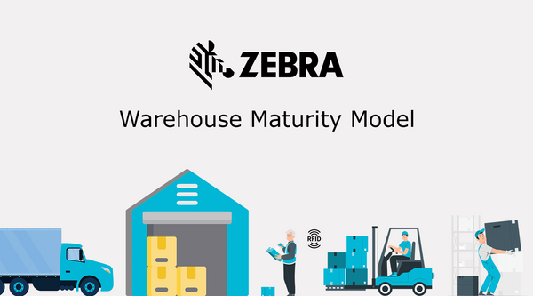 Warehouse Maturity Model – Kestronics